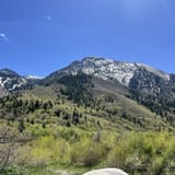 Neff's Canyon Loop, Utah - 2,477 Reviews, Map | AllTrails
