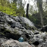 Mima Falls East Trail, Washington - 1,870 Reviews, Map | AllTrails