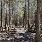 Granite Ridge Trail, Ontario, Canada - 793 Reviews, Map | AllTrails