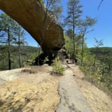 Sky Bridge Trail, Kentucky - 2,503 Reviews, Map | AllTrails