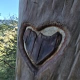 Wesley Ridge, British Columbia, Canada - 776 Reviews, Map | AllTrails