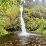 Oneonta Trail and Gorge Trail (Short Option), Oregon - 749 Reviews, Map ...