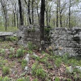 North Rim, Mossback Ridge, and Greenfield Trails Loop, Arkansas - 713 ...