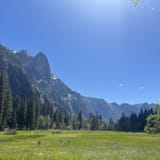 Sentinel Meadow Cook's Meadow Loop Trail, California - 3,107 Reviews ...