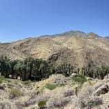 Victor Loop, California - 1,472 Reviews, Map | AllTrails