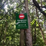 Newlands Forest via the Contour Path, Western Cape, South Africa - 703 ...