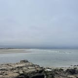 Marginal Way, Maine - 1,659 Reviews, Map | AllTrails