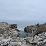 Marginal Way, Maine - 1,659 Reviews, Map | AllTrails