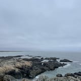 Marginal Way, Maine - 1,659 Reviews, Map | AllTrails