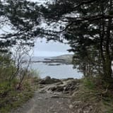 Marginal Way, Maine - 1,659 Reviews, Map | AllTrails