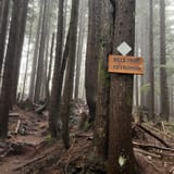 Mount Fromme via St. Georges Trail, British Columbia, Canada - 1,264 ...