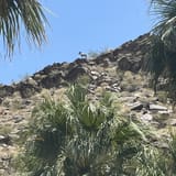 Victor Loop, California - 1,469 Reviews, Map | AllTrails