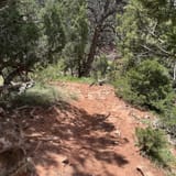 Storm King Mountain Memorial Trail, Colorado - 630 Reviews, Map | AllTrails