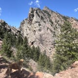 Fowler Trail, Colorado - 2,100 Reviews, Map | AllTrails