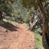 Storm King Mountain Memorial Trail, Colorado - 630 Reviews, Map | AllTrails