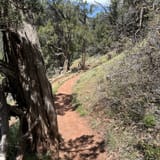 Storm King Mountain Memorial Trail, Colorado - 630 Reviews, Map | AllTrails