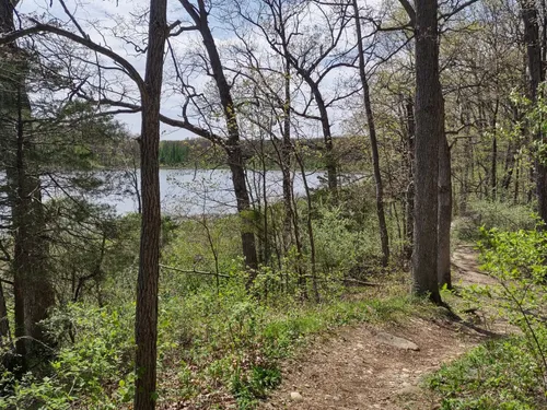 Best Lake Trails in Pinckney | AllTrails