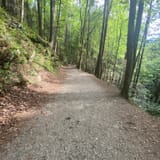 Dukes Creek Trail, Georgia - 3,189 Reviews, Map | AllTrails