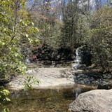 Sam's Knob and Little Sam Loop, North Carolina - 506 Reviews, Map ...