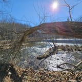 Alberton Road Trail, Maryland - 1,351 Reviews, Map | AllTrails