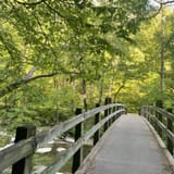 Southern Loop via Western Ridge Trail, Rock Creek, Valley Trail ...