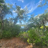 North Anclote River Nature Park Trail, Florida - 191 Reviews, Map ...