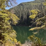 Spider Lake Trail, Washington - 240 Reviews, Map | AllTrails