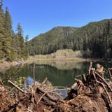 Spider Lake Trail, Washington - 240 Reviews, Map | AllTrails
