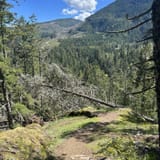 Wesley Ridge, British Columbia, Canada - 776 Reviews, Map | AllTrails