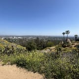 Mount Rubidoux Trail, California - 5,833 Reviews, Map | AllTrails