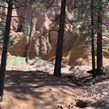 Red Mountain Trail, Arizona - 977 Reviews, Map | AllTrails