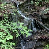 Lichen Falls and Lynn Hollow Falls via Ozark Highlands Trail, Arkansas ...
