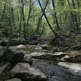 Rose River Trail, Virginia - 4,597 Reviews, Map | AllTrails
