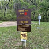 Oak Ridge Trail, Missouri - 180 Reviews, Map | AllTrails