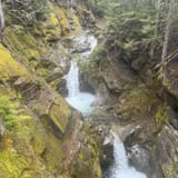 Comet Falls via Van Trump Trail, Washington - 2,366 Reviews, Map ...