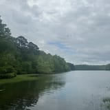 Lake Wedington Hiking Trail, Arkansas - 664 Reviews, Map | AllTrails