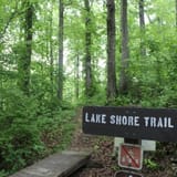 Lake Wedington Hiking Trail, Arkansas - 664 Reviews, Map | AllTrails