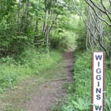 Lake Wedington Hiking Trail, Arkansas - 664 Reviews, Map | AllTrails