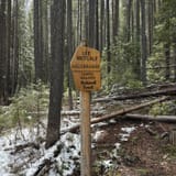 Lava Lake Trail, Montana - 2,967 Reviews, Map | AllTrails