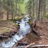 Mount Emily Recreation Area Loop, Oregon - 246 Reviews, Map | AllTrails