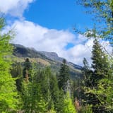 Mount Emily Recreation Area Loop, Oregon - 246 Reviews, Map | AllTrails