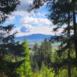 Mount Emily Recreation Area Loop, Oregon - 246 Reviews, Map | AllTrails