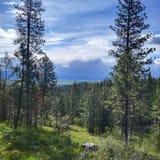 Mount Emily Recreation Area Loop, Oregon - 246 Reviews, Map | AllTrails