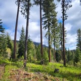 Mount Emily Recreation Area Loop, Oregon - 246 Reviews, Map | AllTrails