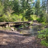 Mount Emily Recreation Area Loop, Oregon - 246 Reviews, Map | AllTrails