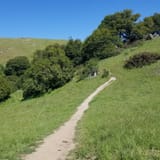 Mission Peak Loop from Stanford Avenue Staging Area, California - 8,216 ...