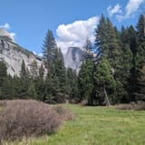 Sentinel Meadow Cook's Meadow Loop Trail, California - 3,107 Reviews ...