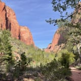 Middle Fork Taylor Creek Trail, Utah - 3,275 Reviews, Map | AllTrails