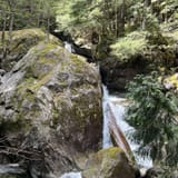 Middle Fork Snoqualmie River Trail, Washington - 1,061 Reviews, Map ...