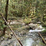 Middle Fork Snoqualmie River Trail, Washington - 1,061 Reviews, Map ...